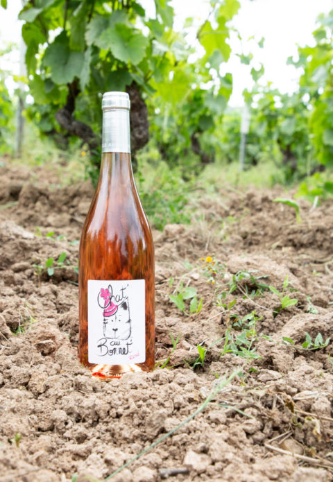 Chat'au Bonnet Rosé - Château Bonnet - Vins du Beaujolais